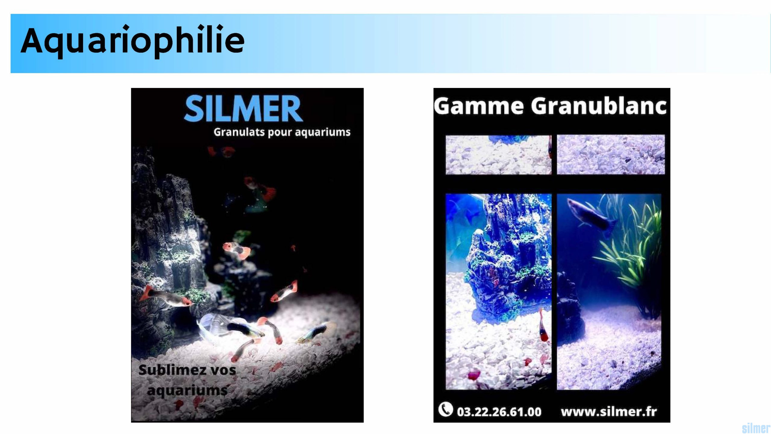 Silmer, société des Silices de Mer : Sublimez vos décorations d ...